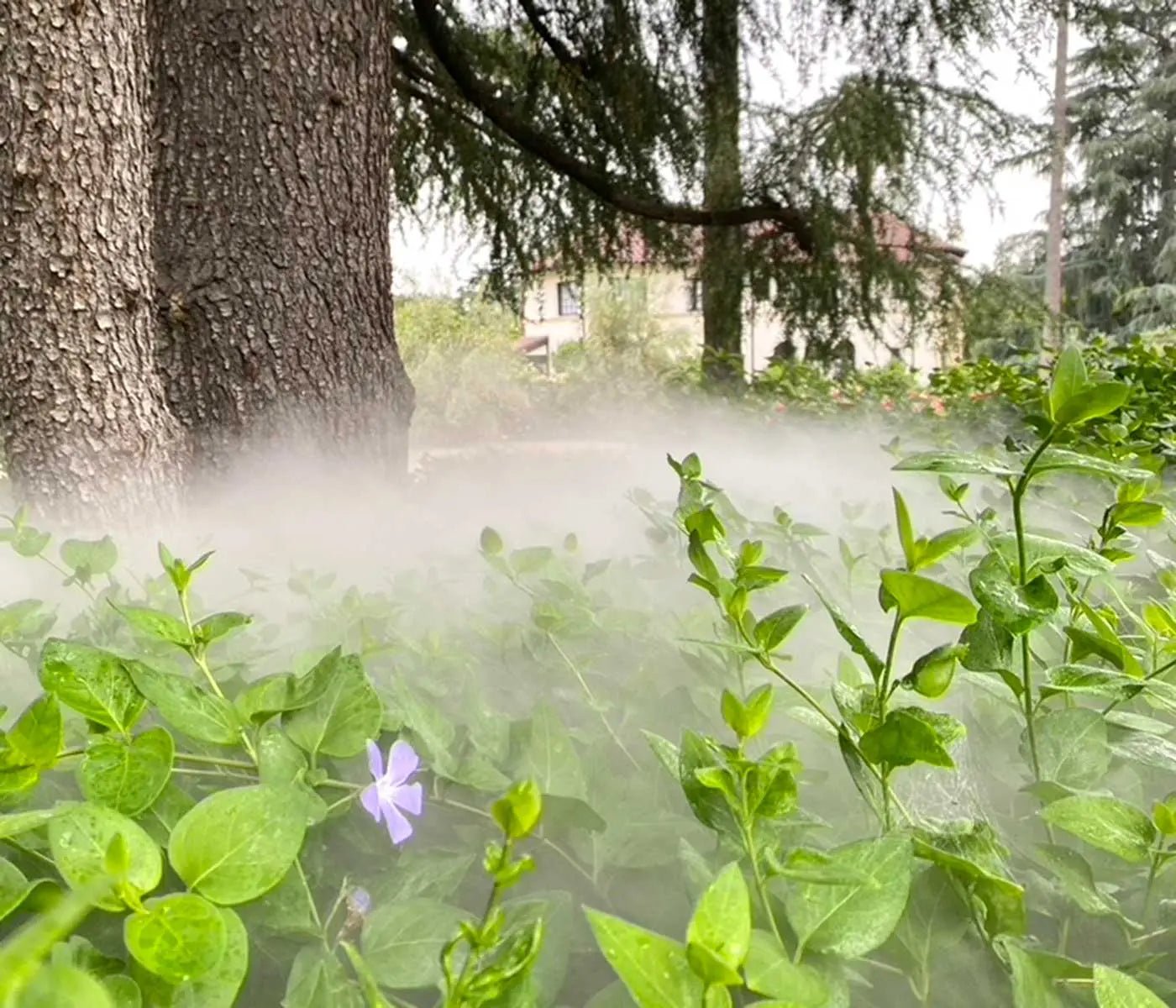 Portable Fog Machine | MeeFog CloudMaker – MeeFog Store