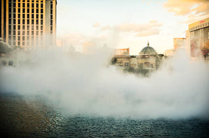 About – MeeFog Store